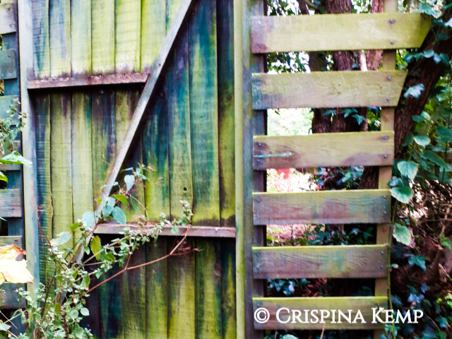 Crimson’s Creative Challenge #94 – The Green Gate | Morpethroad